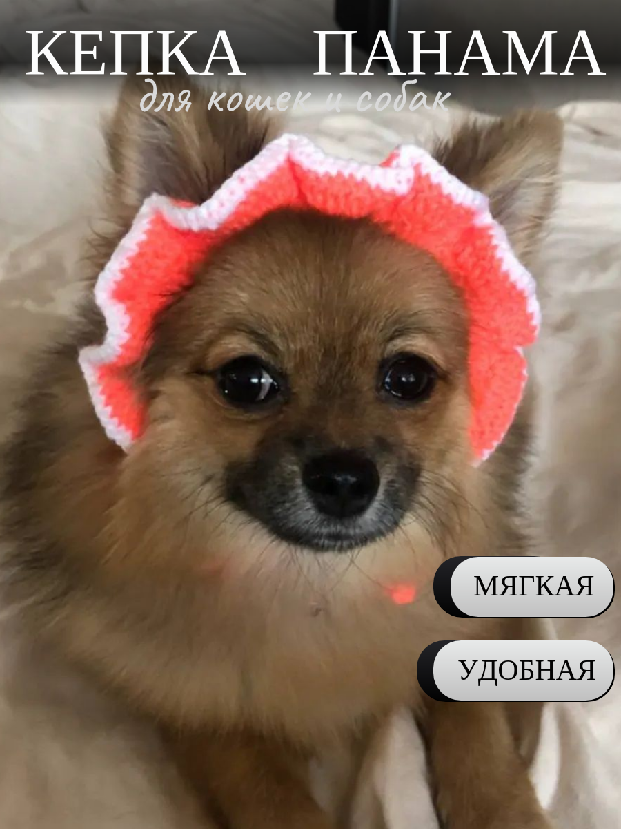 Шапка панама для кота и кошки для маленьких собак, летняя на завязках