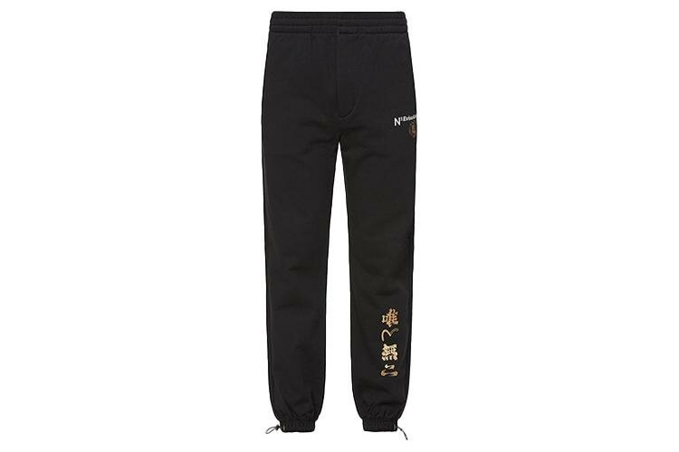 Брюки спортивные EVISU