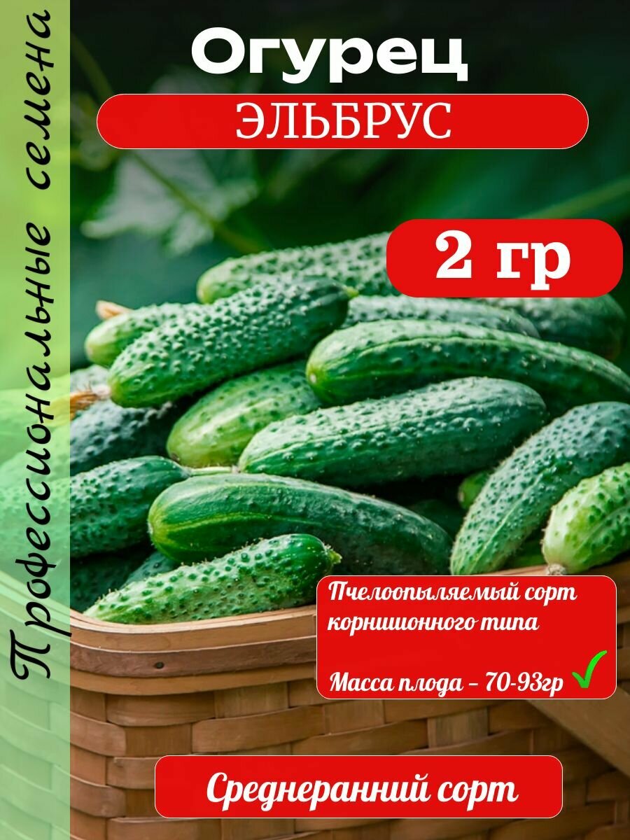 Семена Огурец Эльбрус 2гр