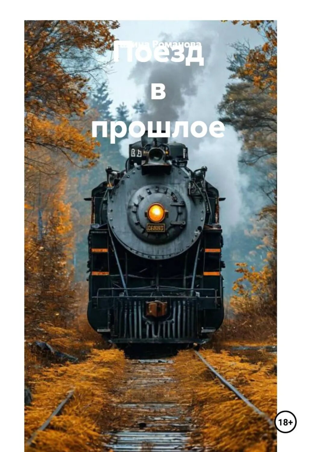 Поезд в прошлое [Цифровая книга]