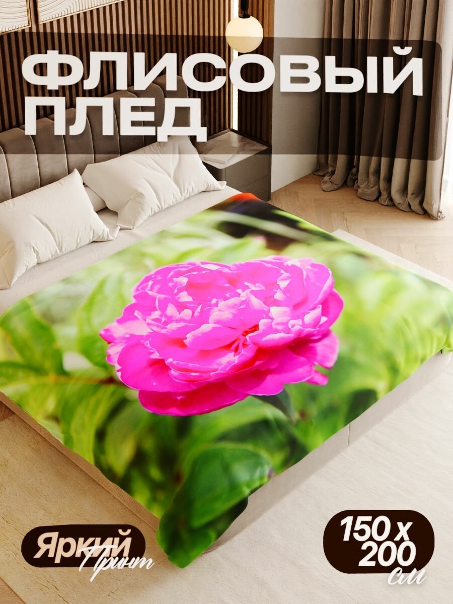 Плед флисовый 150х200 см мягкий теплый покрывало для дома