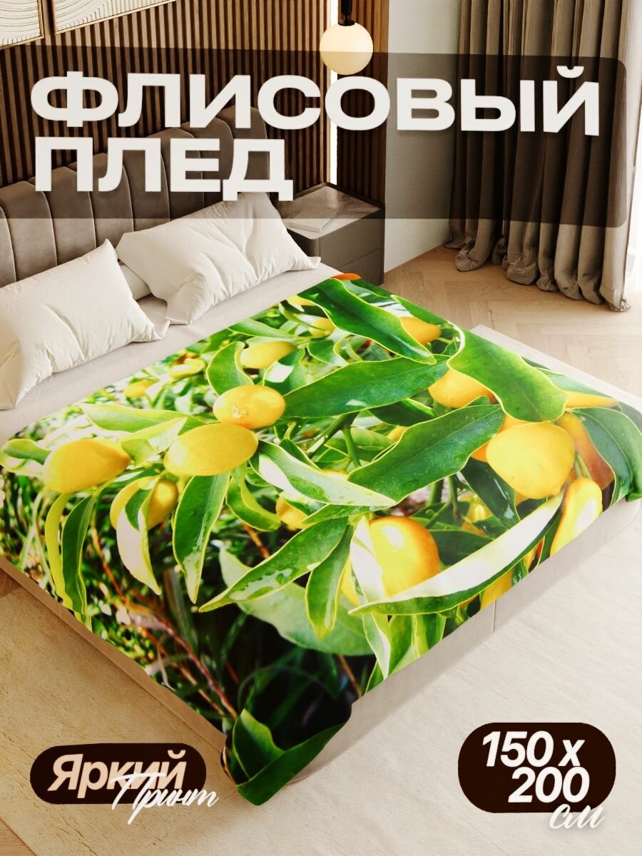 Плед флисовый 150х200 см мягкий теплый покрывало для дома