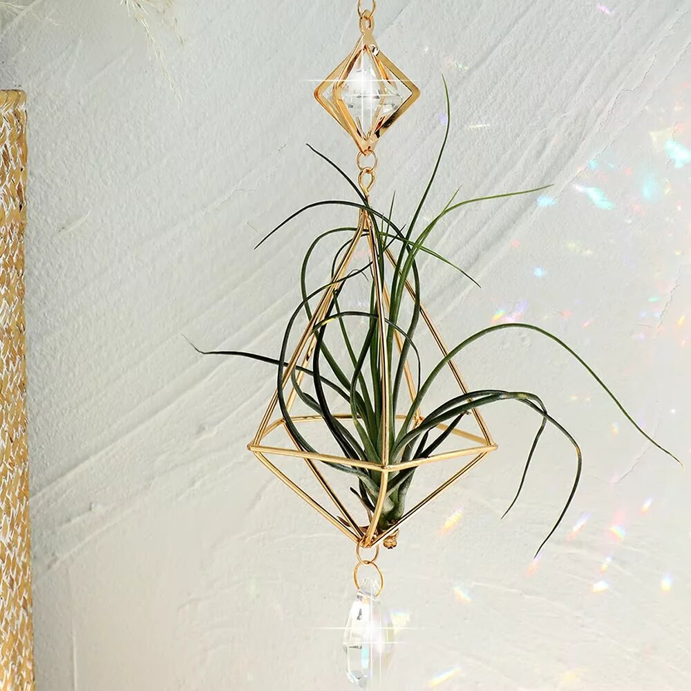 Золотая подвесная корзина для Tillandsia