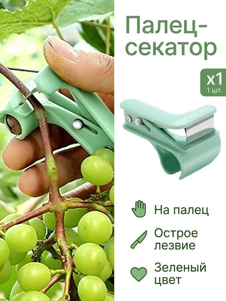 Плодосборник