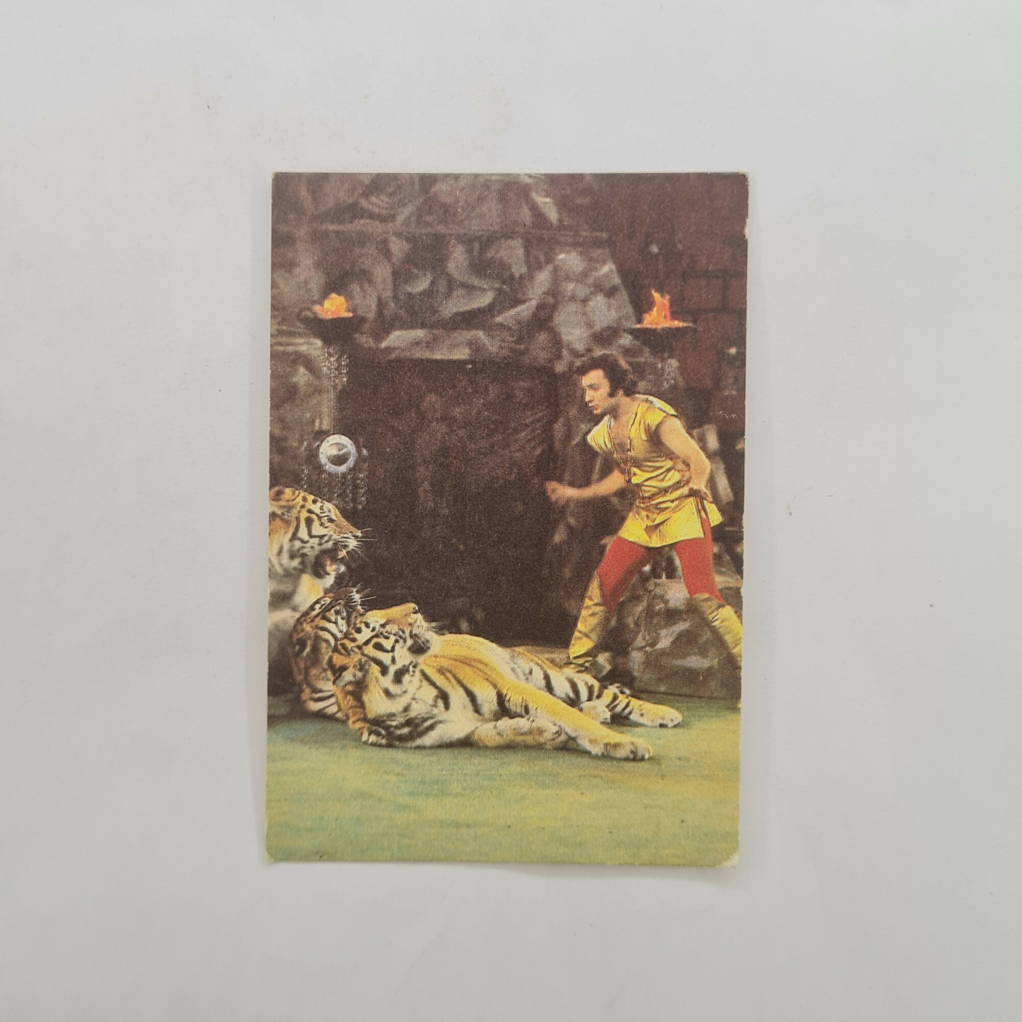 Карманный календарик СССР 1981. Цирковой номер дрессировщика с тиграми. Советский календарь