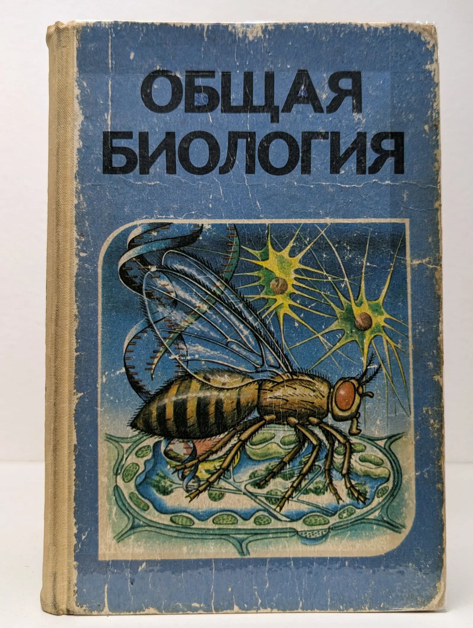 Общая биология. 10 - 11 класс Сборник 1991