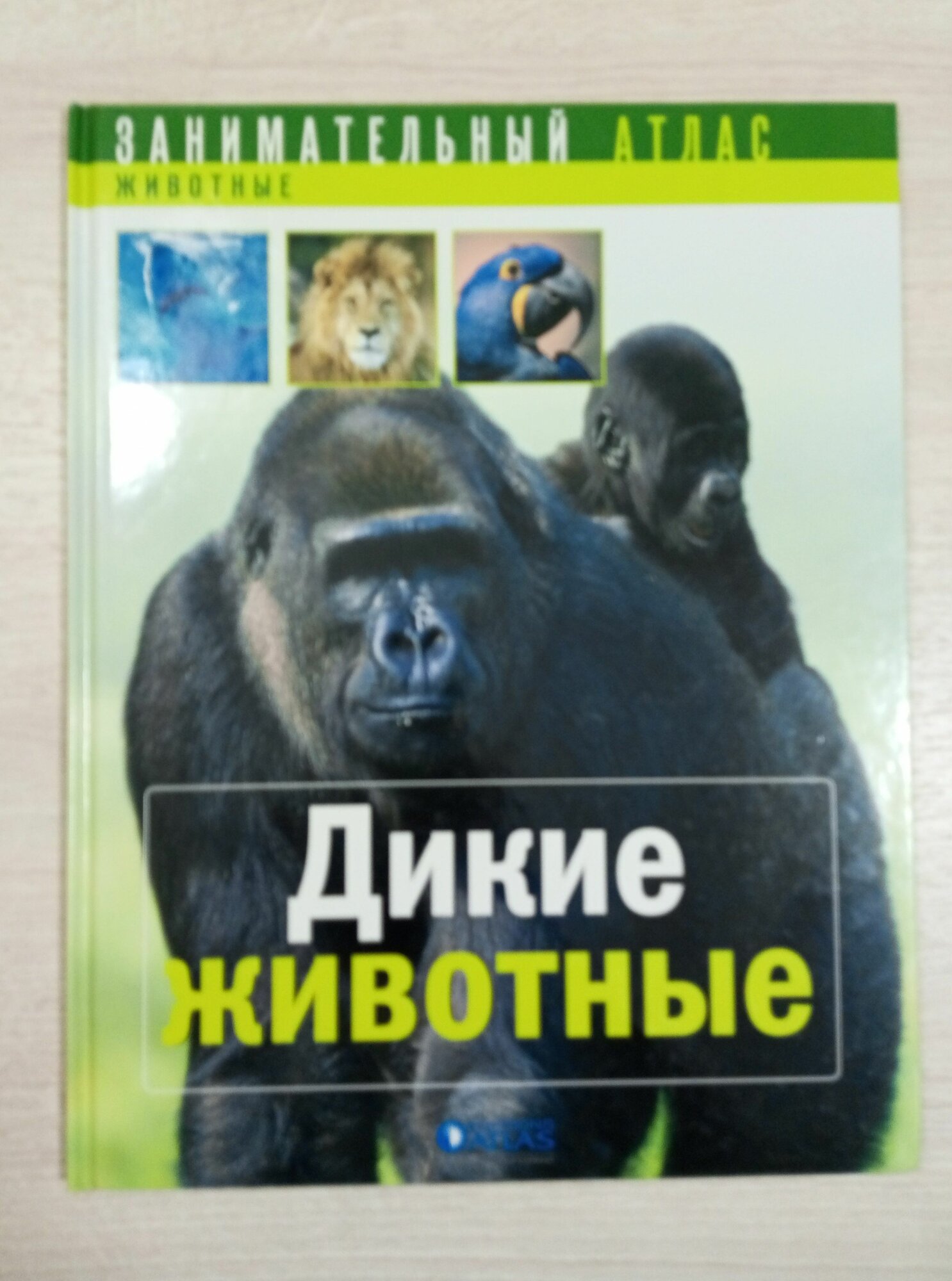 Дикие животные. Занимательный атлас животные.