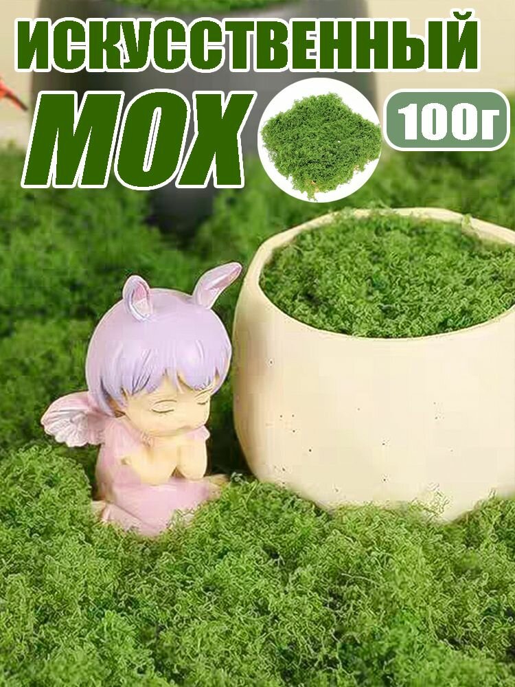 Стабилизированный мох Мох