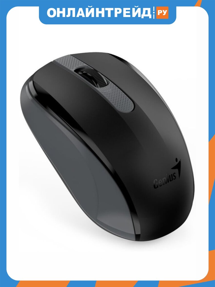 Мышь беспроводная Genius NX-8008S Черный (31030028400)