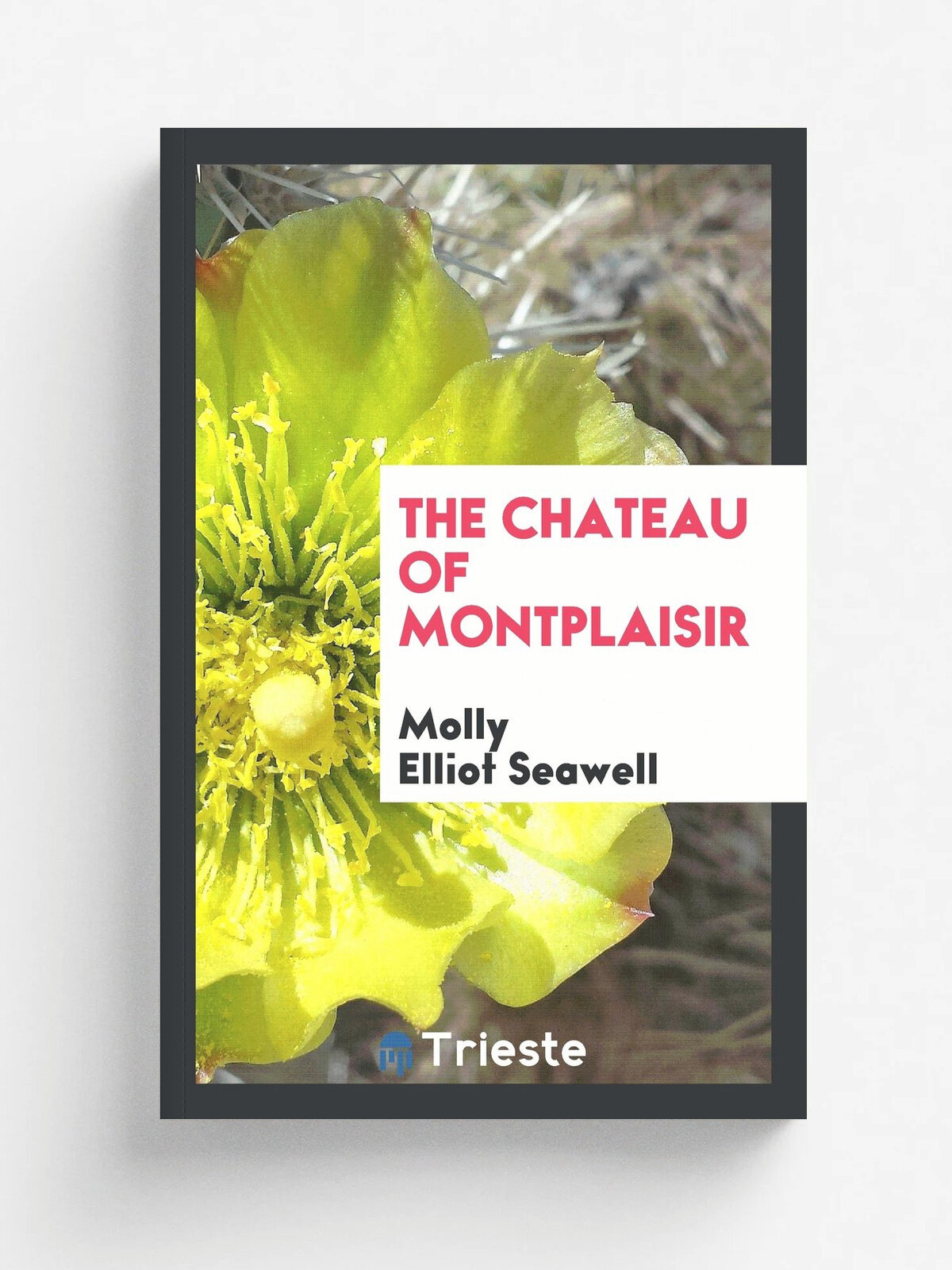 The chateau of Montplaisir