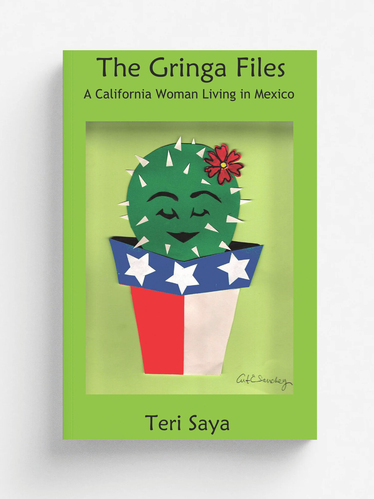 The Gringa Files. A California Woman Living in Mexico