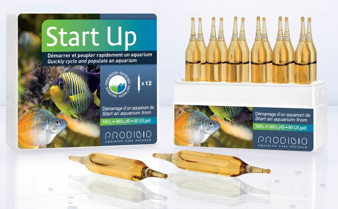 Набор для быстрого запуска аквариума Prodibio Start Up, 12 ампул