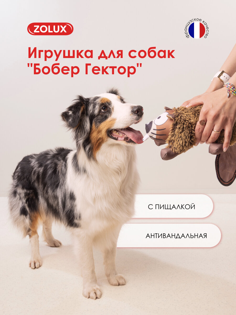 ZOLUX Плюшевая игрушка для собак, элемент пищалка, "Бобер Гектор"