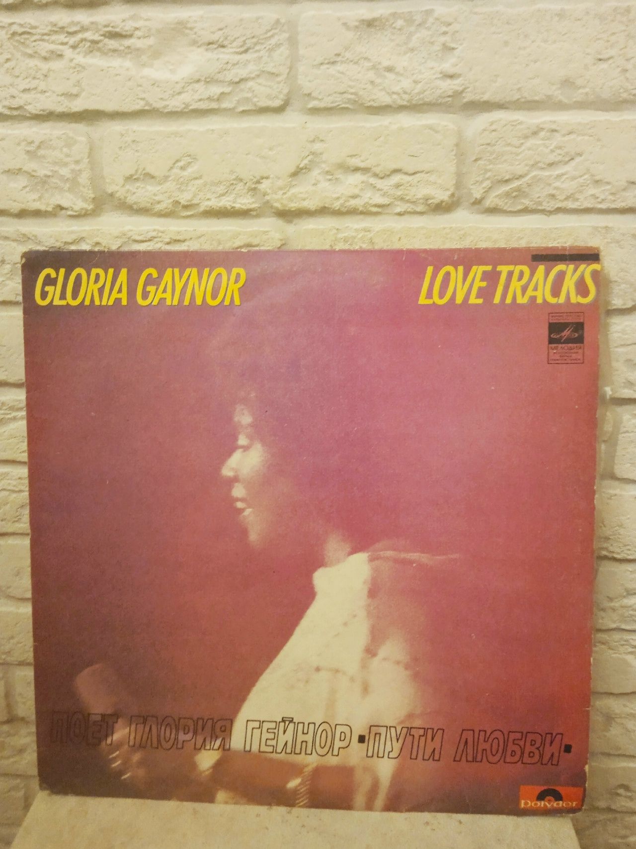 Виниловая пластинка Gloria Gaynor - Пути любви (LP)