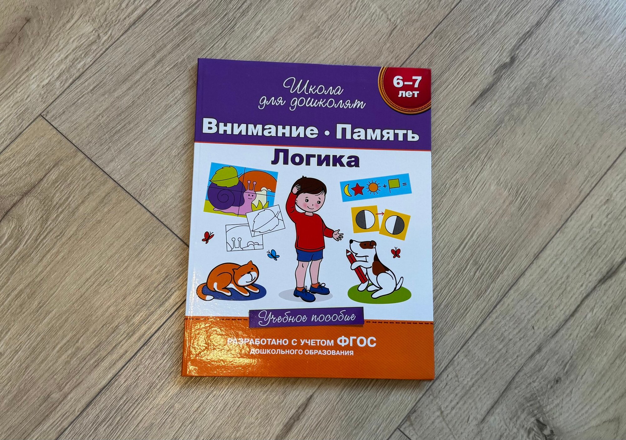 Внимание, память, логика, 6-7 лет (школа для дошколят), 2020 г
