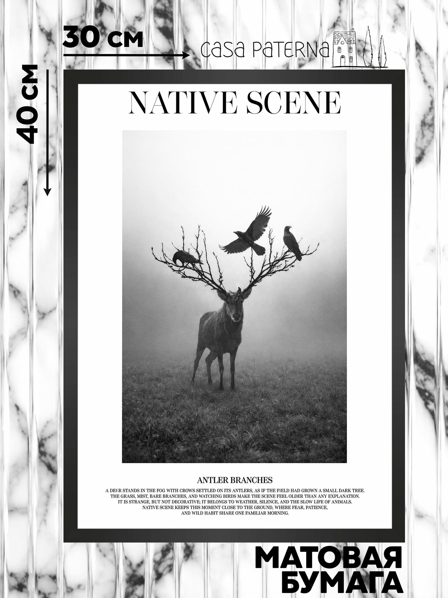 Постер на стену 30х40 Native Scene #25, черно-белая фотография для интерьера, чб без рамки Casa Paterna