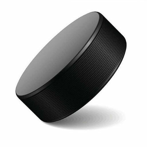 Силиконовый хоккей на льду