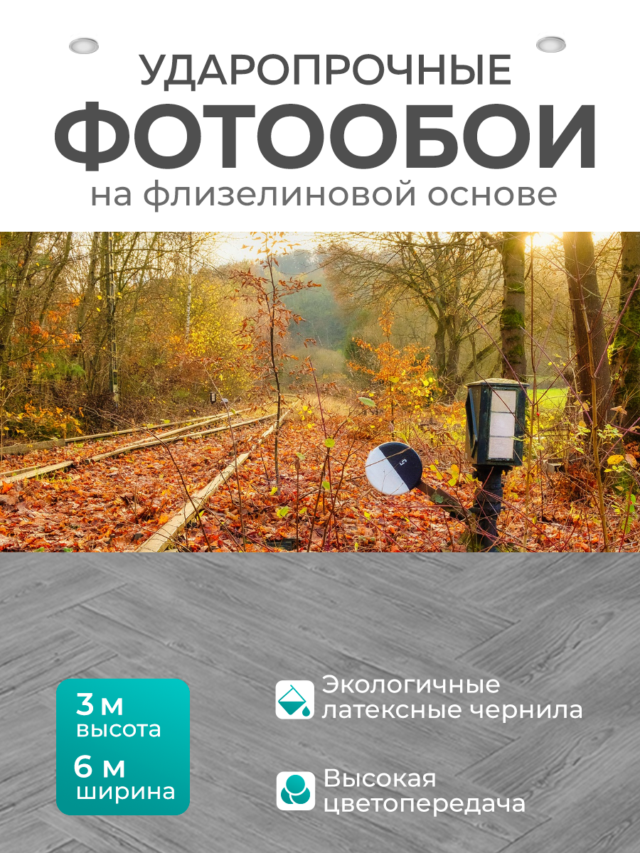 Фотообои моющиеся ударопрочные "Рельсы, железнодорожные пути, железная дорога" 600x300 см. флизелиновые на стену