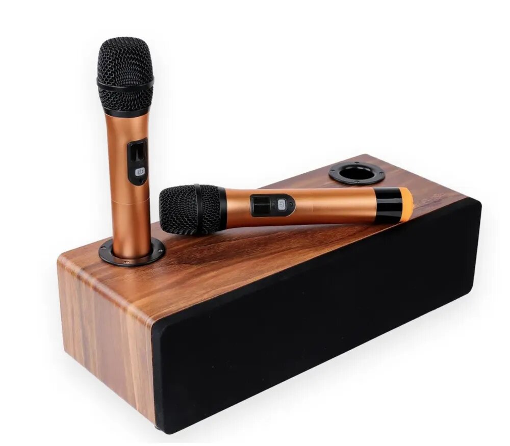 Караоке система для дома с двумя микрофонами TV-3.2, Bluetooth / 120 Вт