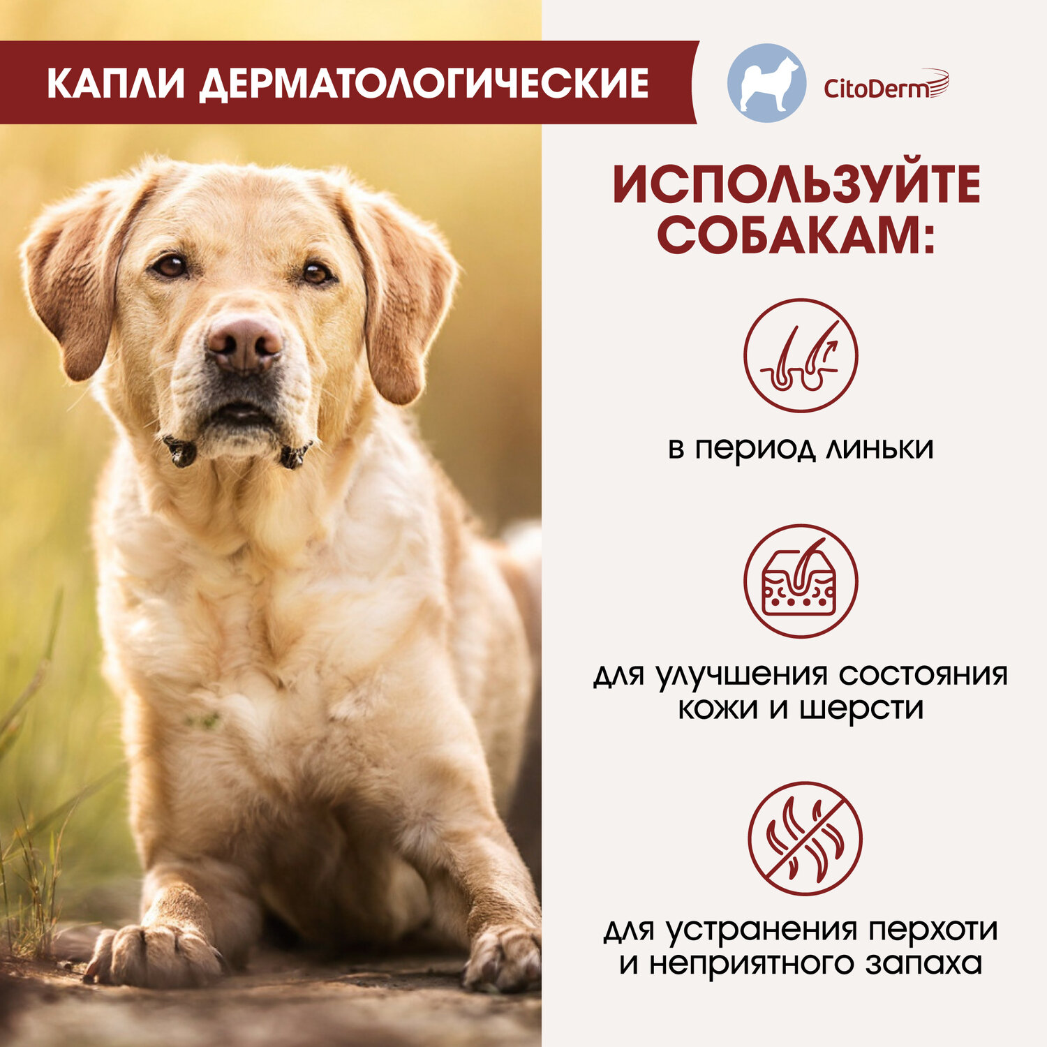 Капли CitoDerm Дерматологические для собак 10-30 кг, 3 мл, 45 г, 4шт. в уп.