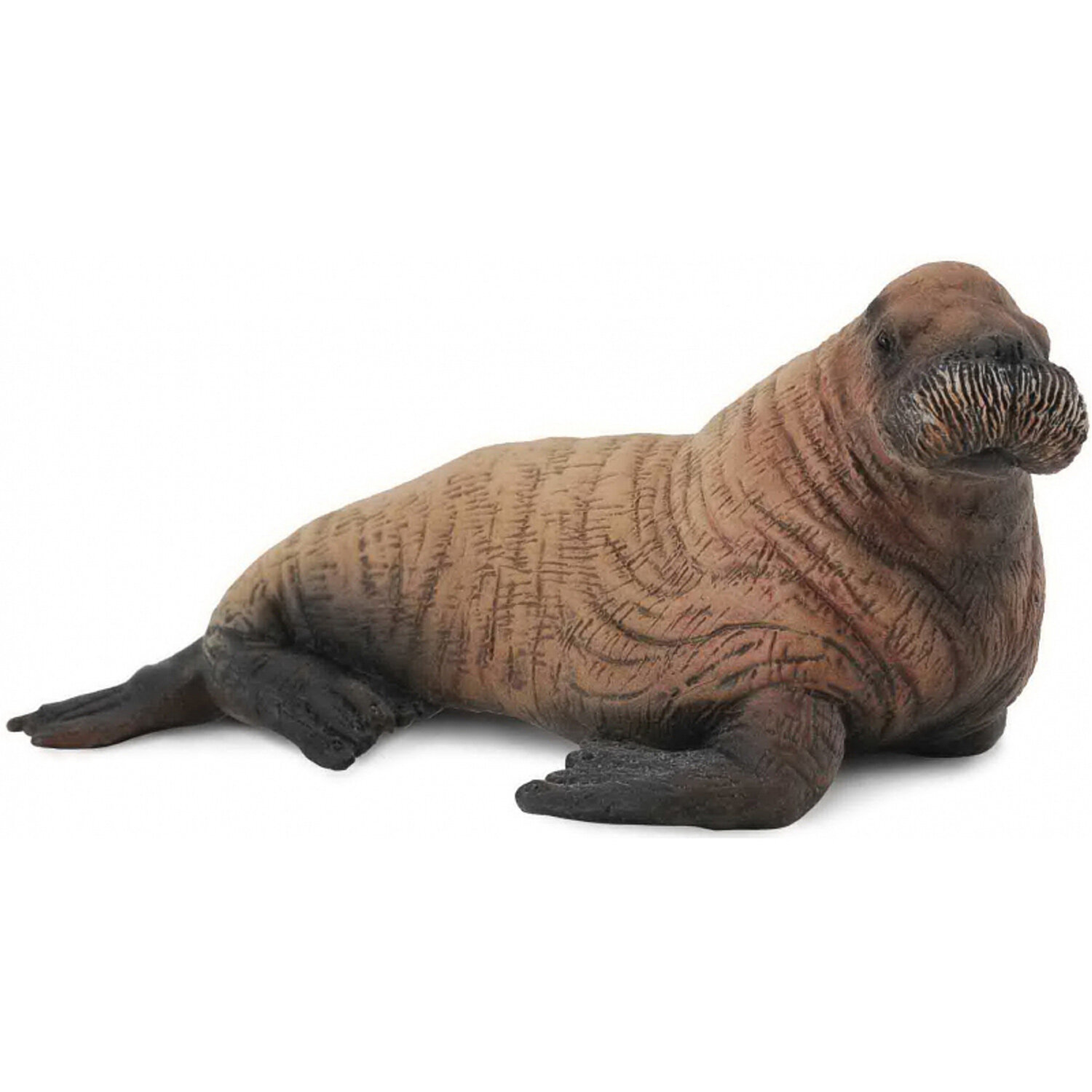 Collecta Фигурка Детеныш моржа M 88570b с 3 лет