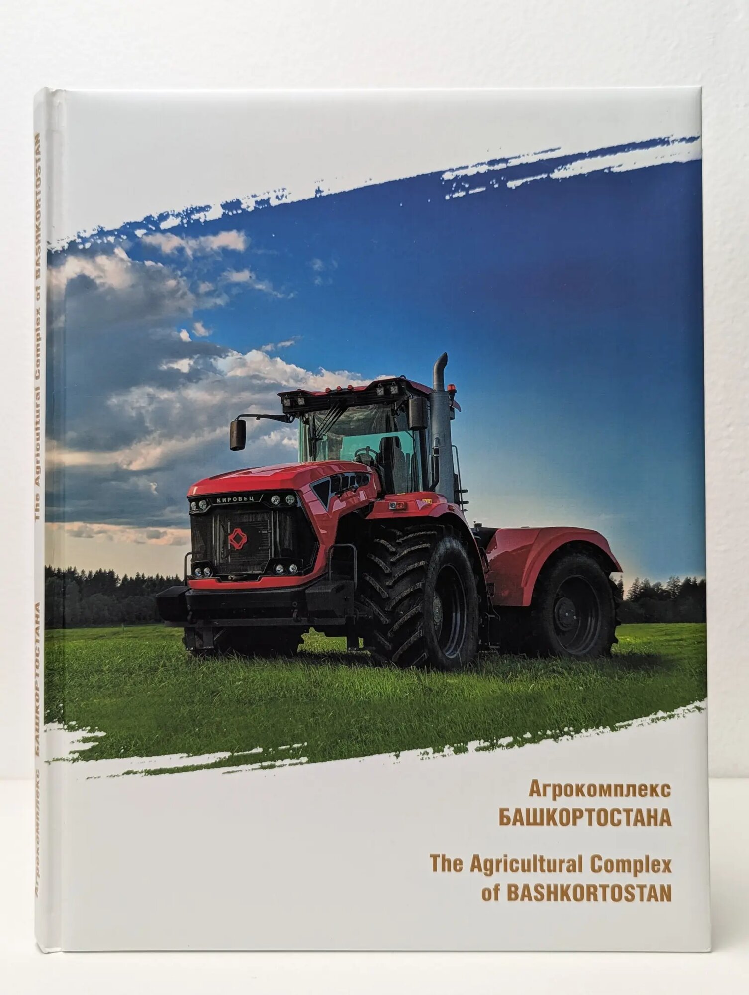 Агрокомплекс Башкортостана Черкашина Инна (ред.) 2020