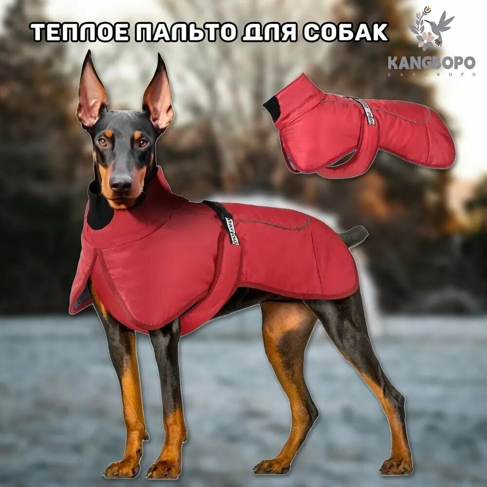 Одежда для животных/попона теплая для собак, Унисекс,4XL, синий
