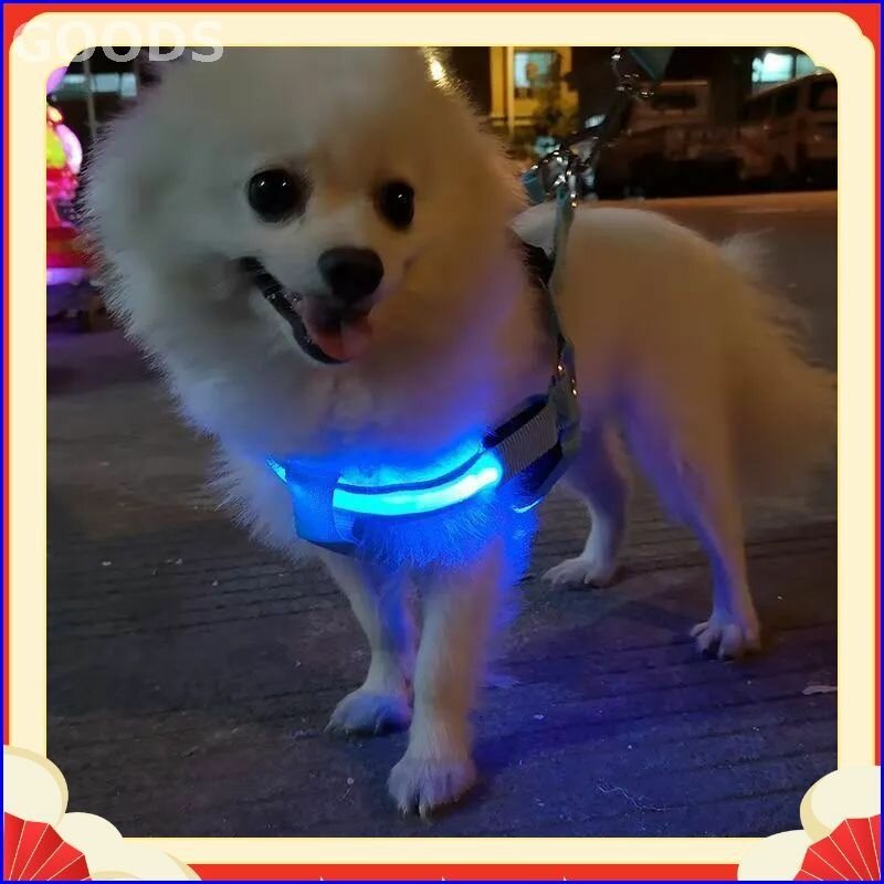 Светящаяся нейлоновая шлейка премиум для собак малых и средних размеров, регулируемая