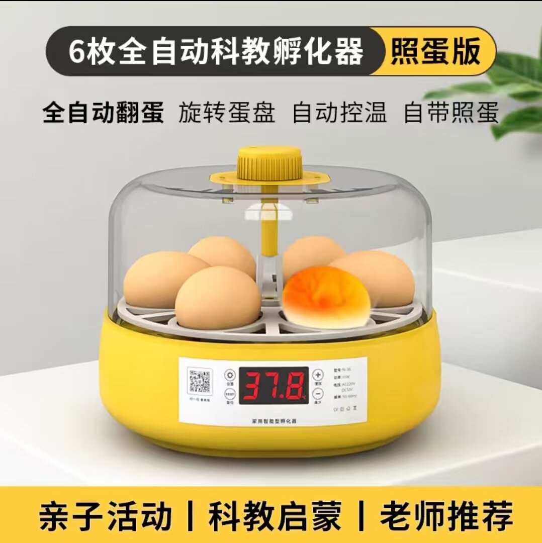 Инкубатор Rutin, небольшой бытовой интеллектуальный инкубатор с водяным дном, полностью автоматический инкубатор для попугаев.