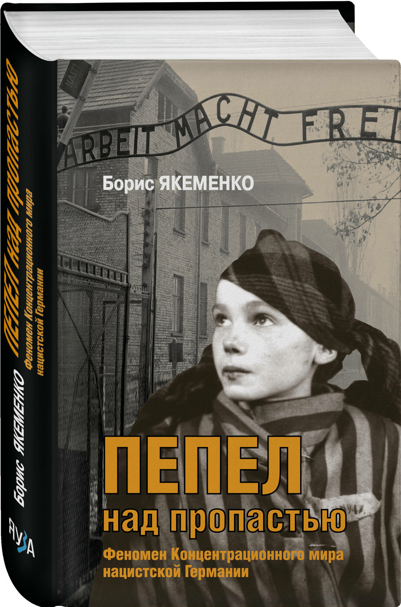 Якеменко Б. Г. Пепел над пропастью