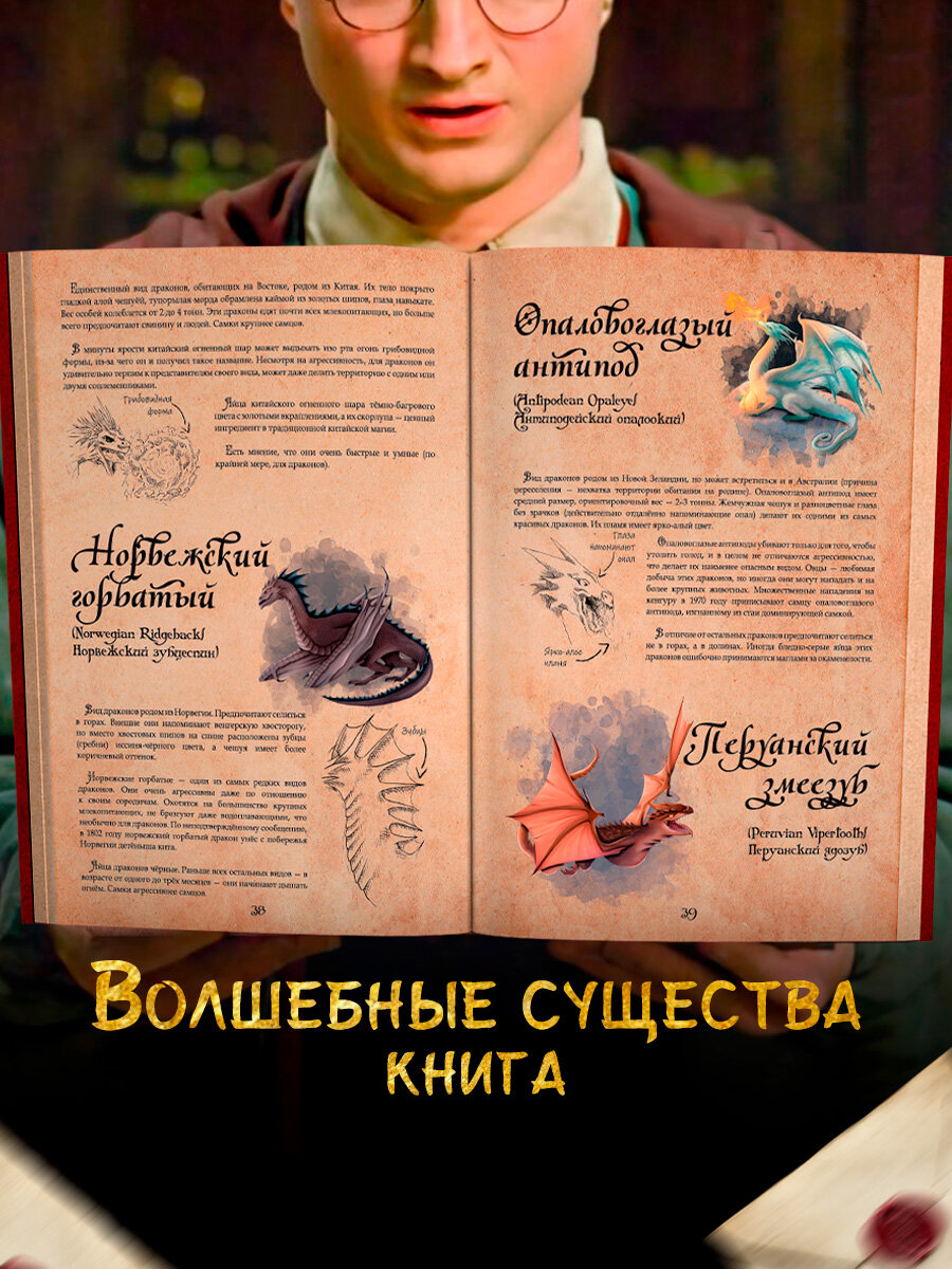 Книга "Волшебные существа по вселенной Гарри Поттера", цветные иллюстрации