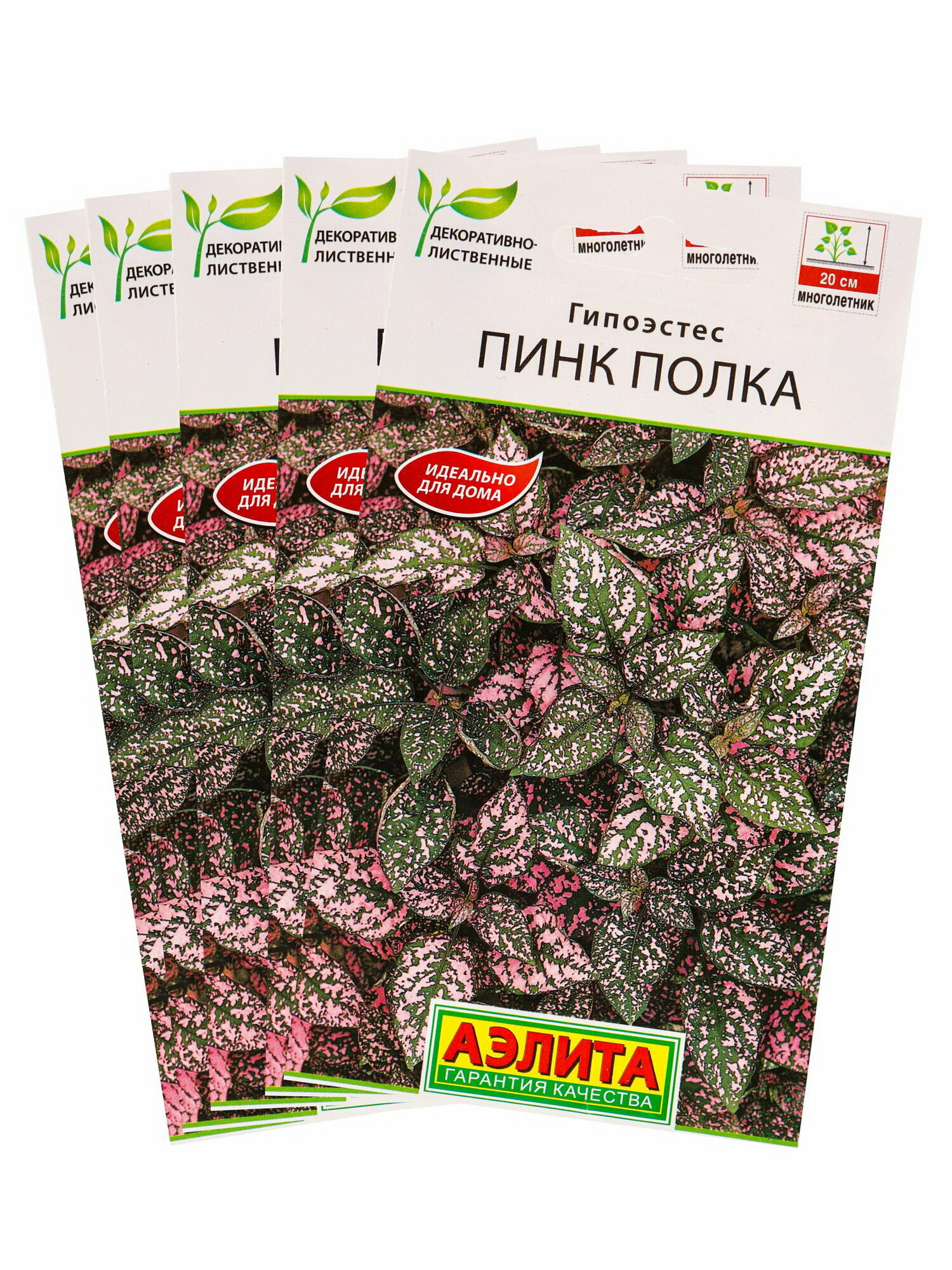 Набор семян Гипоэстес "Пинк Полка", 5 шт, цвет: зелёный, цветение период: август