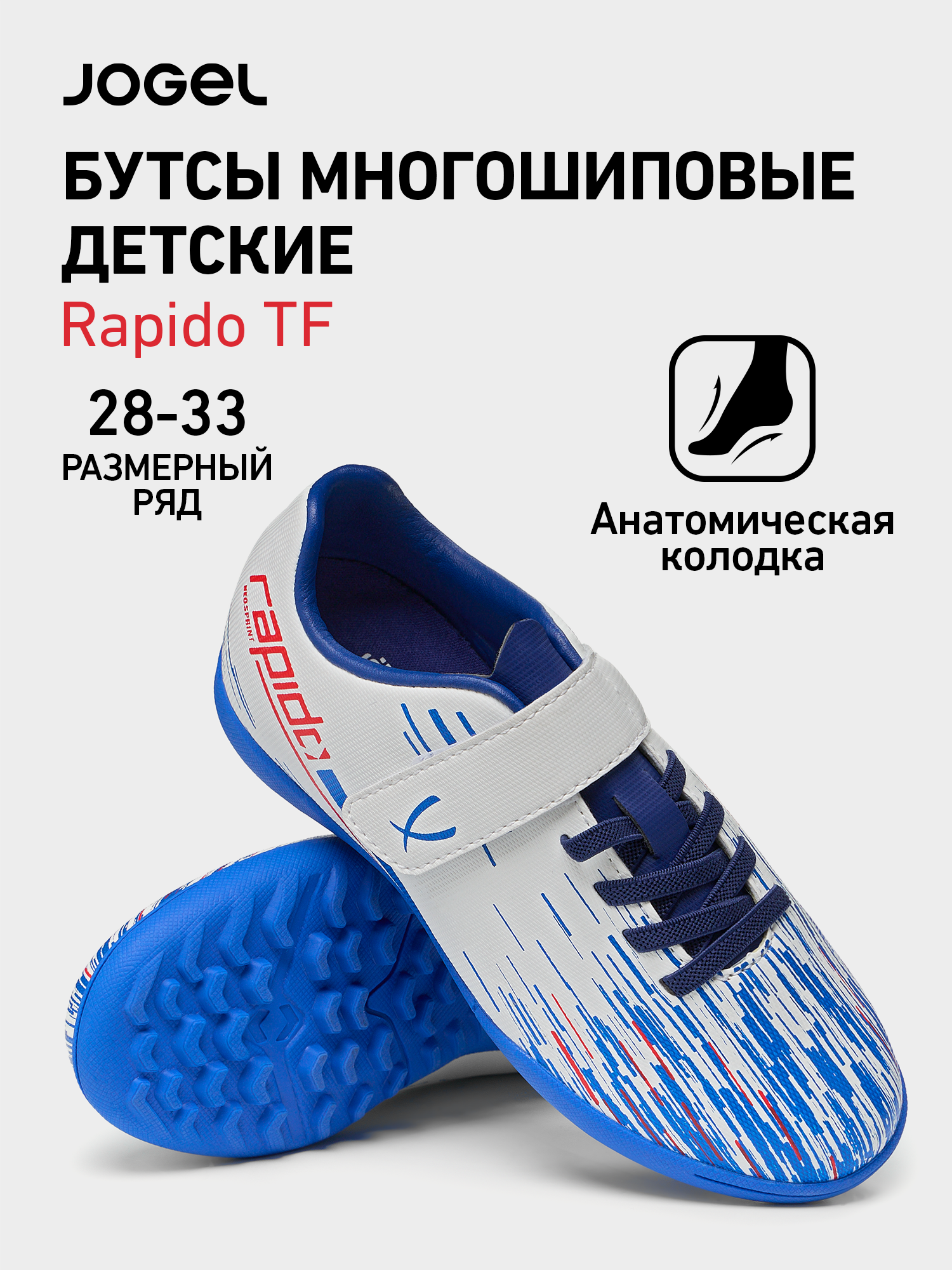 Сороконожки