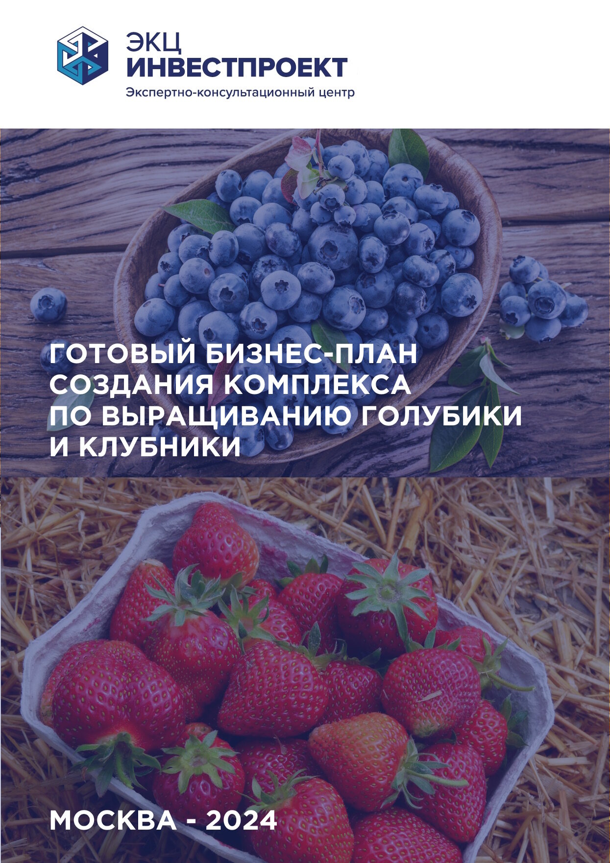 Готовый бизнес-план по выращиванию голубики и клубники (с маркетингом и расчетами)