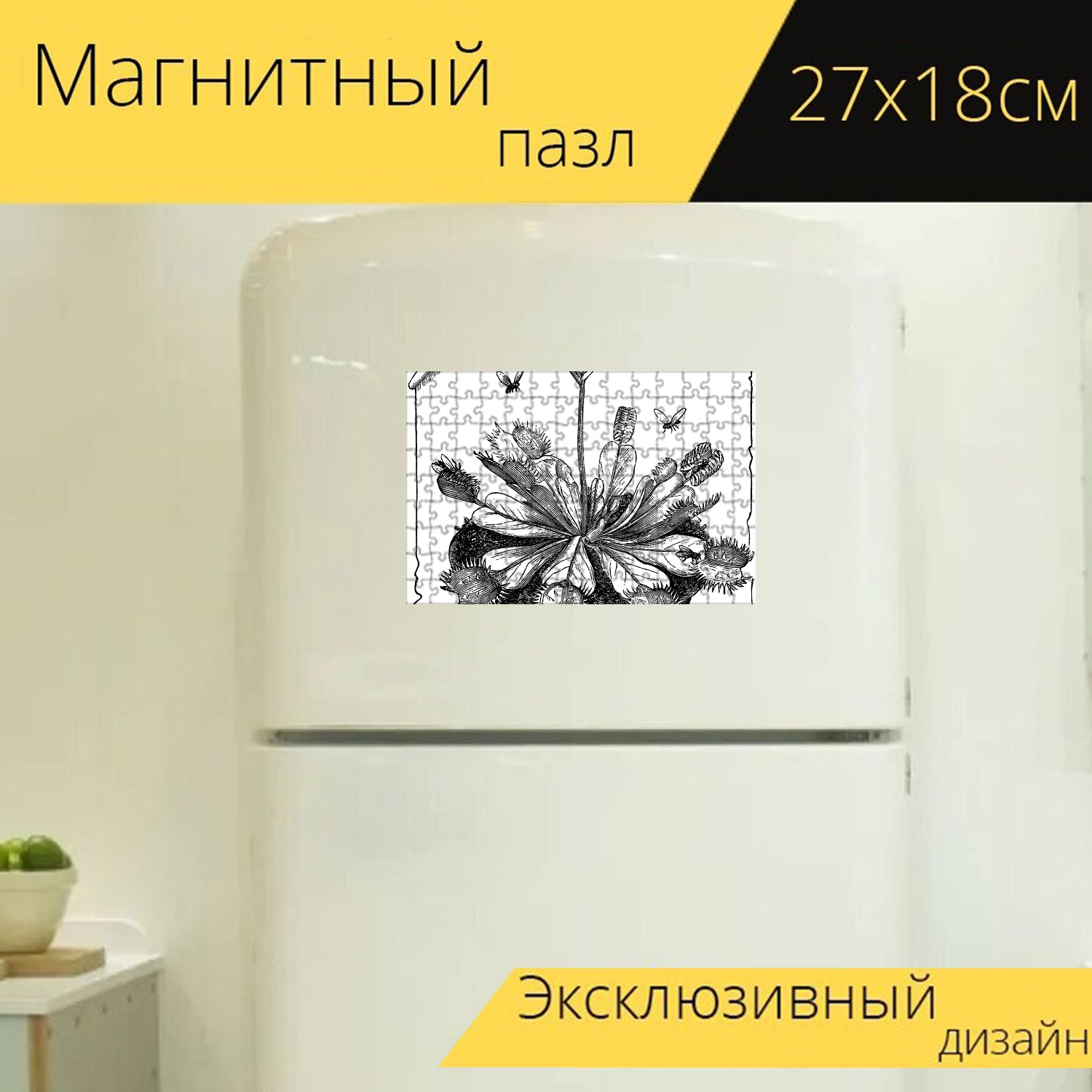 Магнитный пазл "Клипарт Венерина мухоловка Венерина мухоловка плотоядное растение клипарт винтажное искусство старый античный иллюстрация рисунок ." на холодильник 27 x 18 см.