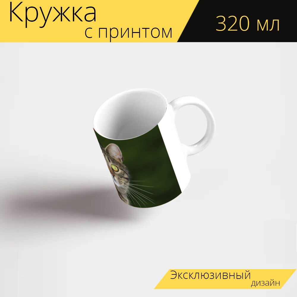 Кружка с рисунком, принтом "Кот, кошачьи глаза, полосатый кот" 320 мл.