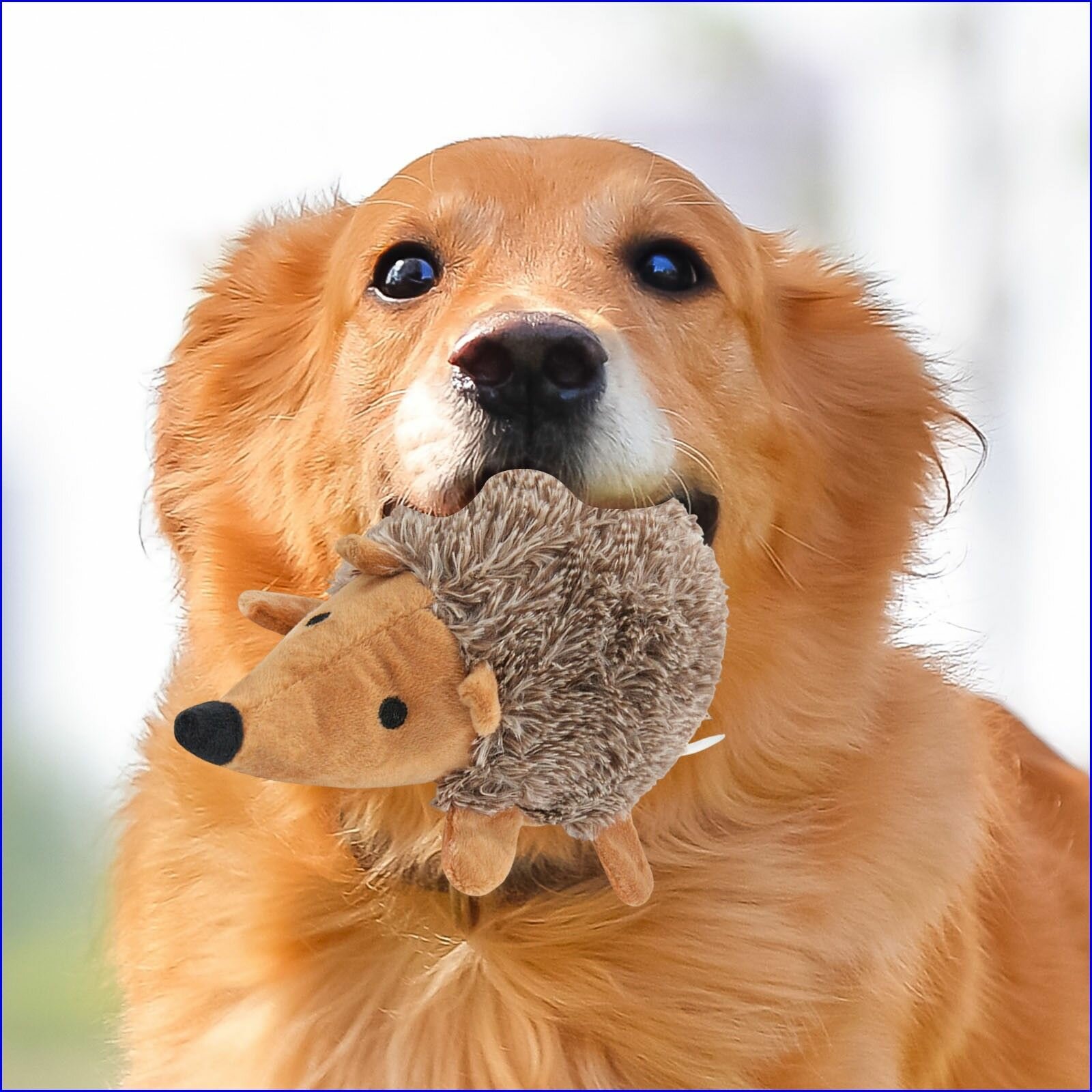 Игрушка для собак Ёжик, мягкая, с писком, 200 мм