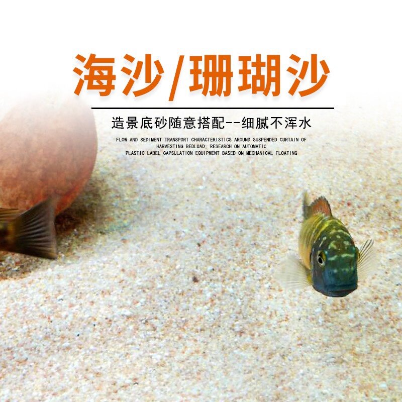 Высококачественный филиппинский песочный аквариум, ландшафтный дизайн, коралловый песок, ракушка, песок, морской