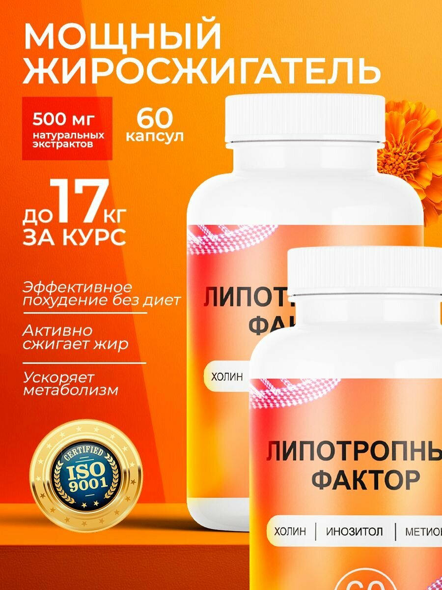 Жиросжигатель "Липотропный Фактор", капсулы, для похудения и контроля веса, 120 шт