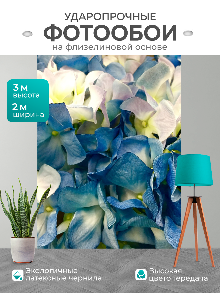 Фотообои моющиеся ударопрочные "Гортензия, синий, белый" 200x300 см. флизелиновые на стену