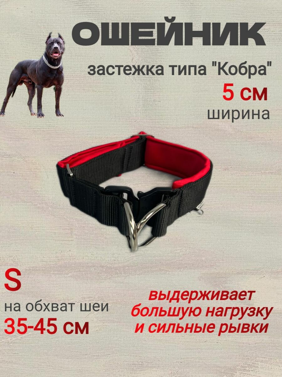 Ошейник для собак на застежке типа Кобра ширина 5 см, с мягким подкладом для средних и крупных пород, размер S