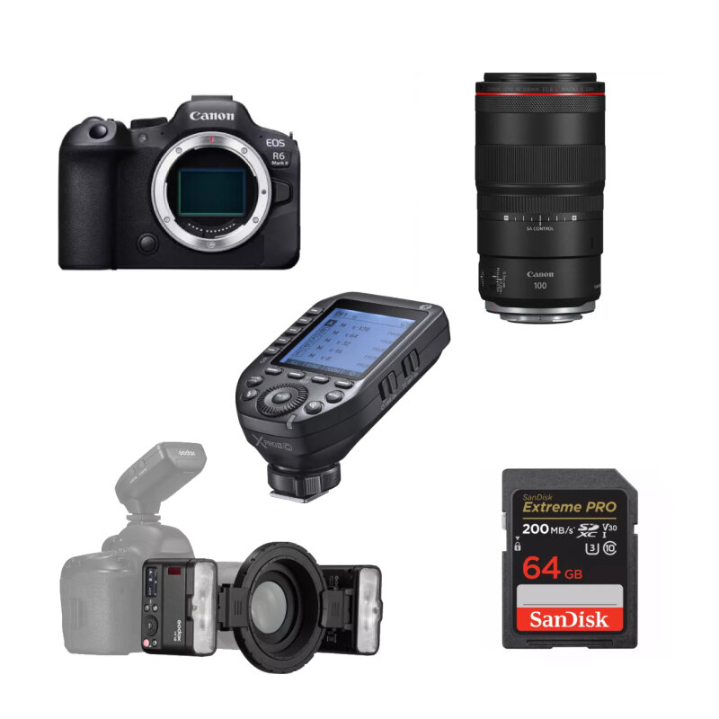 Комплект для стоматолога - Canon EOS R6 Mark II Kit RF 100mm F2.8L Macro + Godox MF12-K2 + Xproll С + SDSDXXU-064G-GN4IN
