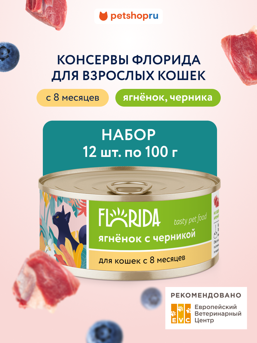 FLORIDA Консервы для кошек, ягненок с черникой, набор 12 шт по 100 г, влажный корм, 1,2 кг