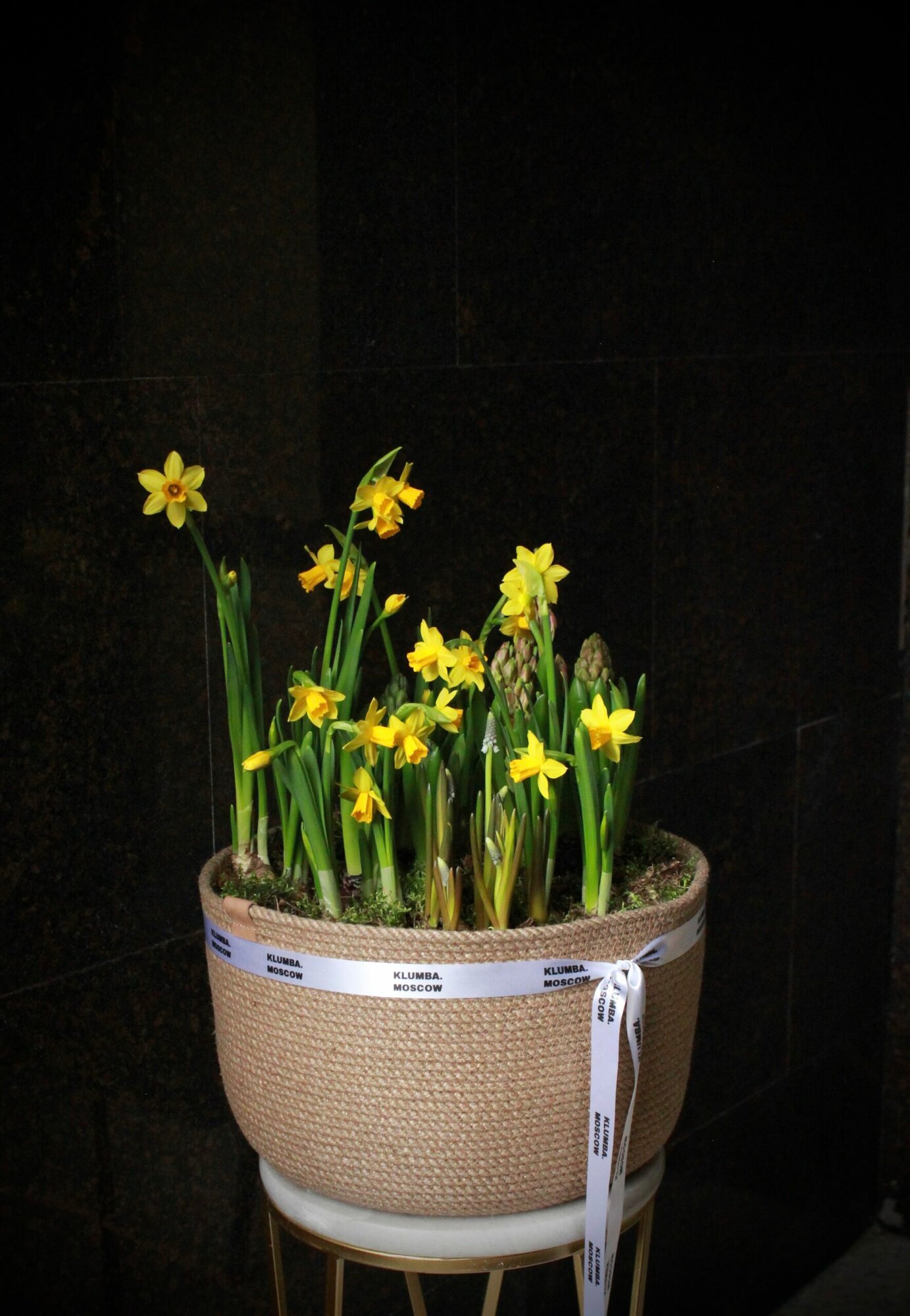 Большая корзина первоцветов (гиацинт, мускари, нарцисс) от студии цветов клумба. москва