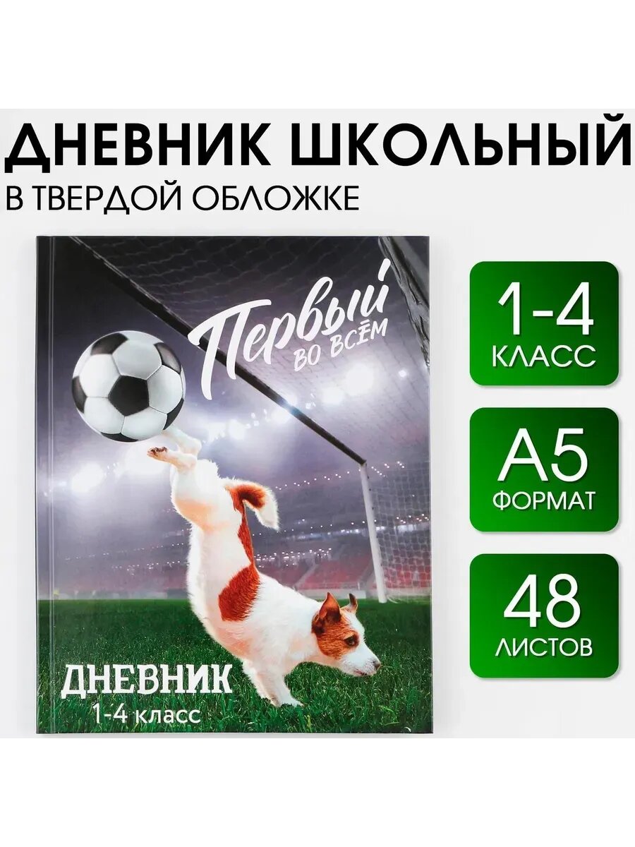 Дневник школьный для мальчиков 1-4 класс