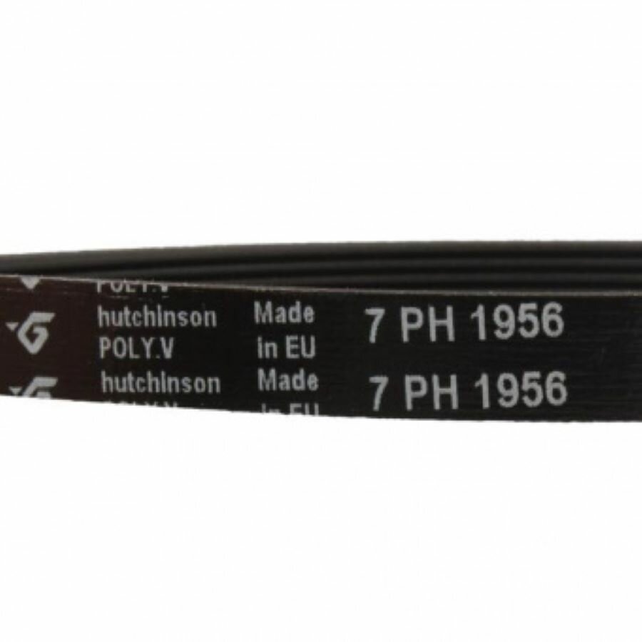 Приводной ремень для сушильных машин Аsko, 562038