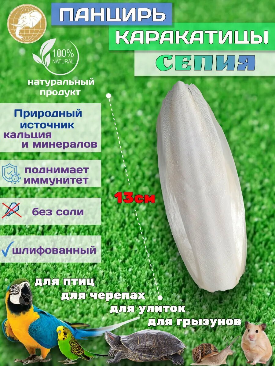 Сепия панцирь каракатицы 13см