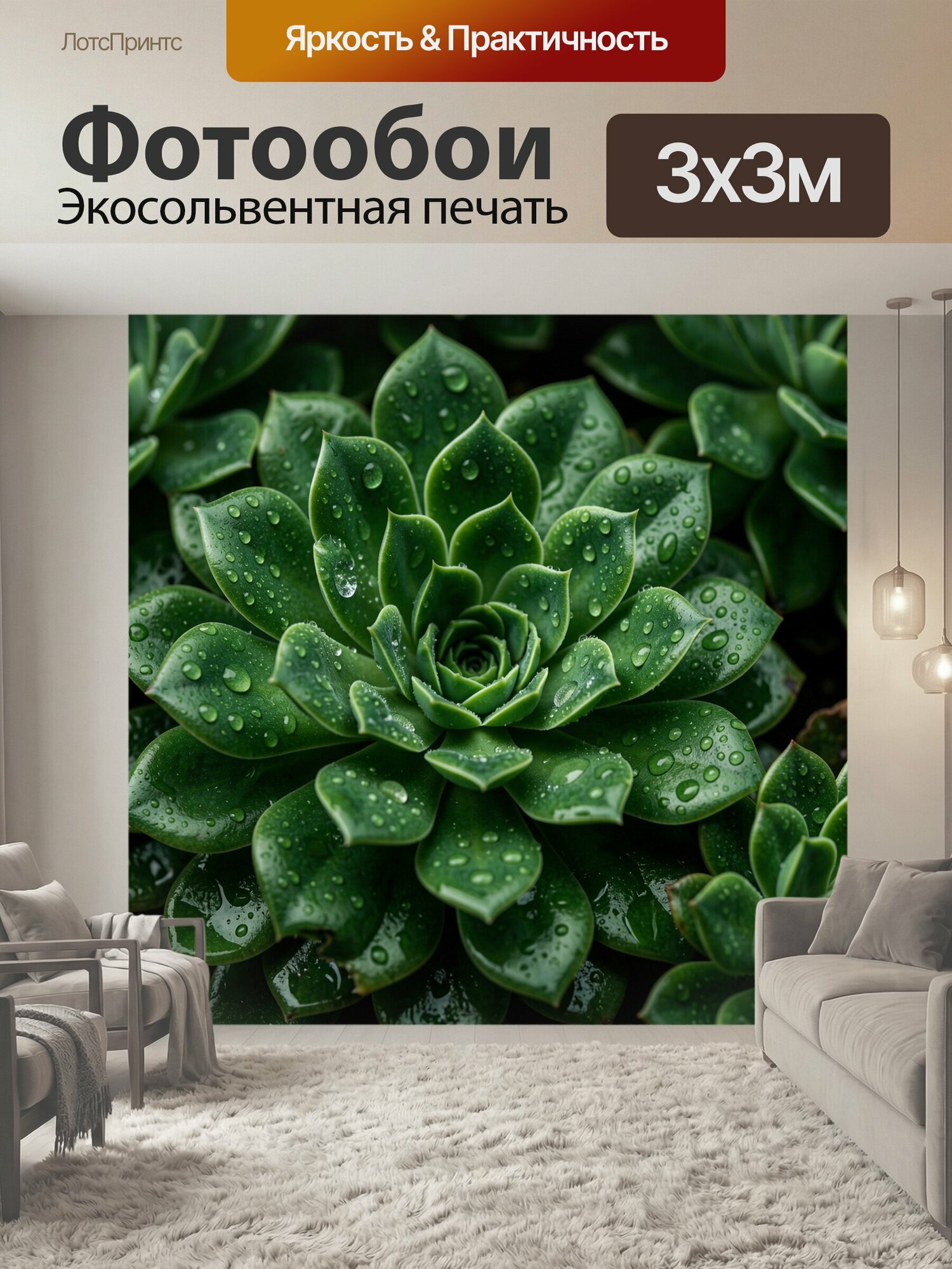 Фотообои "Зелёный суккулент с каплями росы. Макроизображение сочного комнатного растения с плотными лепестками и блестящими каплями влаги." 300x300 см. экосольвентная печать