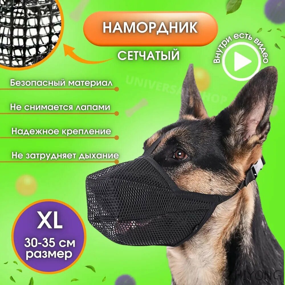 Намордник