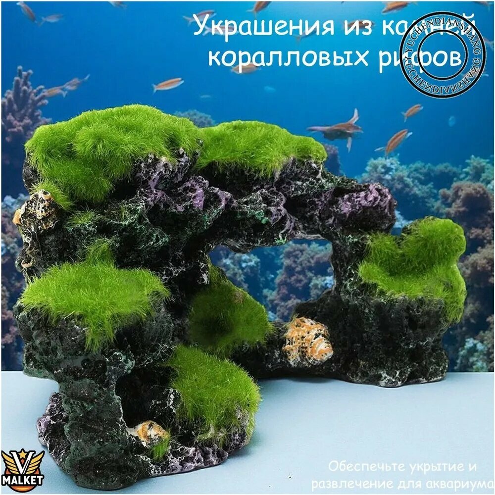 Премиуморнамент скалы, риф коралловый